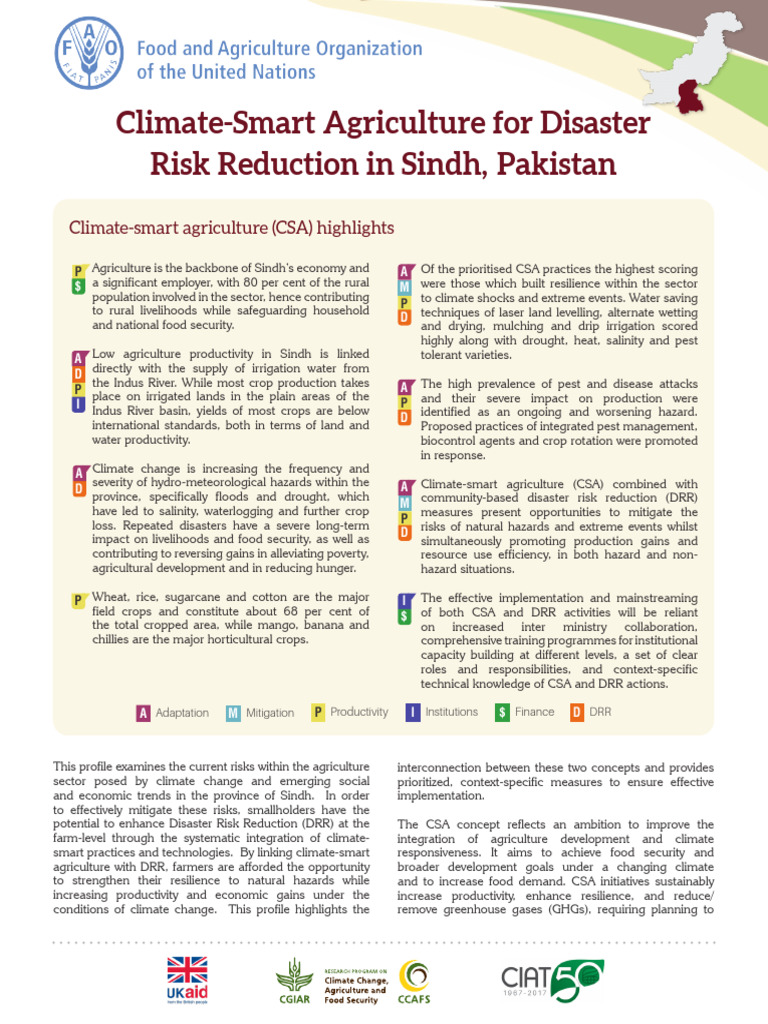 CSA - Profile - Sindh | PDF | Agriculture | Climate Resilience