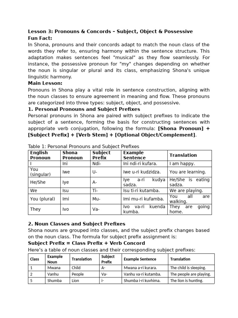 Lesson 3 Pronouns & Concords - Subject, Object & Possessive | PDF ...