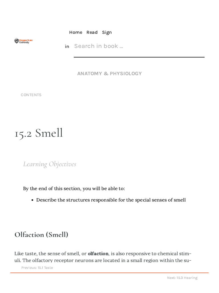 15.2 Smell - Anatomy & Physiology | PDF | Olfactory System | Senses