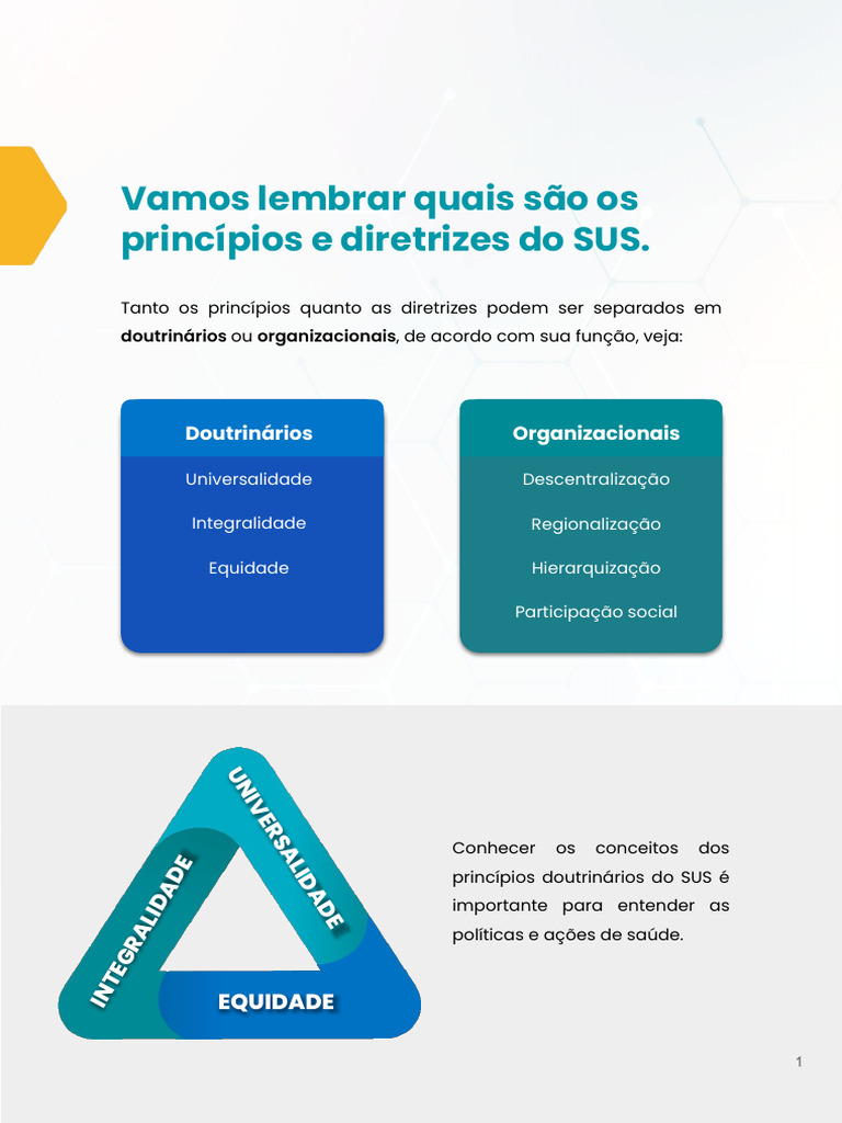 PRINCIPIOS DO SUS | PDF | Ciência Política | Justiça