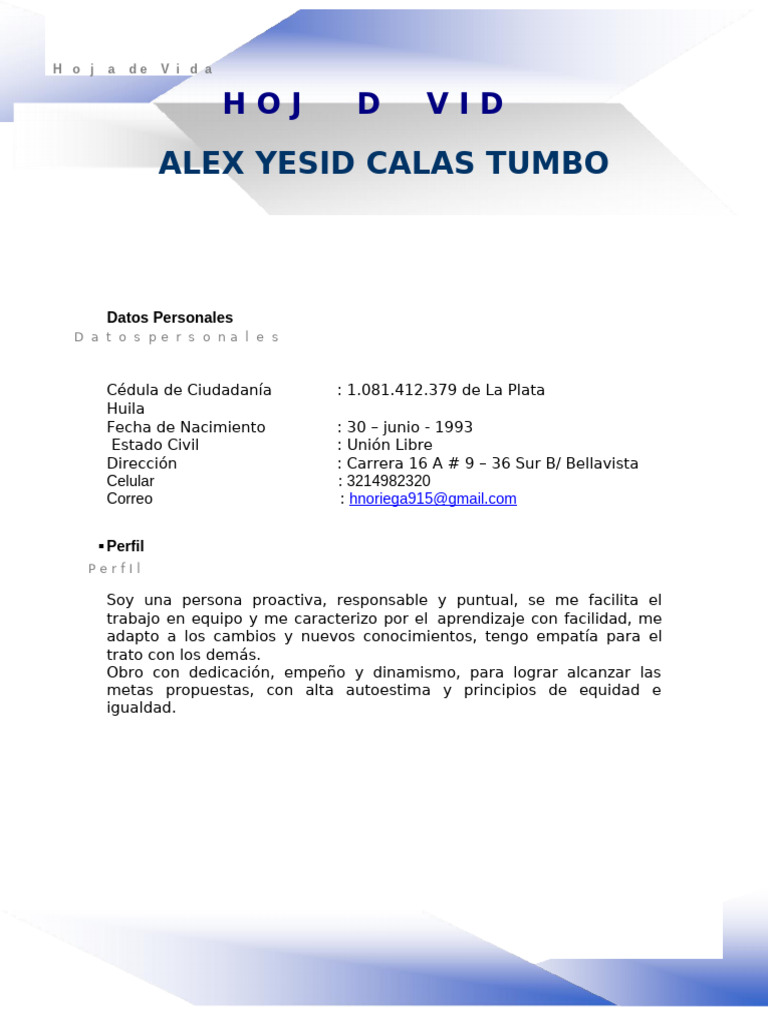 Hoja de Vida Alex Yesid | PDF