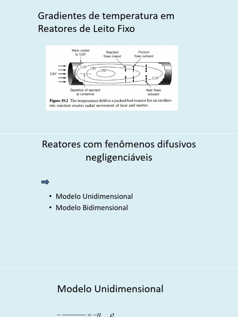 2- Reatores de Leito Fixo Parte2 | PDF | Física | Metrologia
