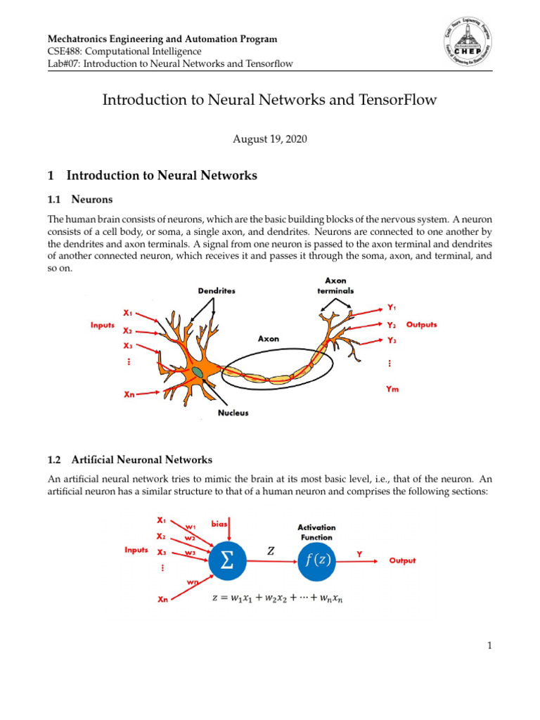 CSE488 - Lab7 - Neural Networks and TensorFlow | PDF | Neuron | Dendrite