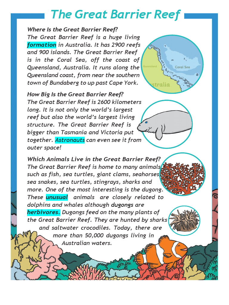 The Great Barrier Reef - Ak | PDF | Biology | Zoology