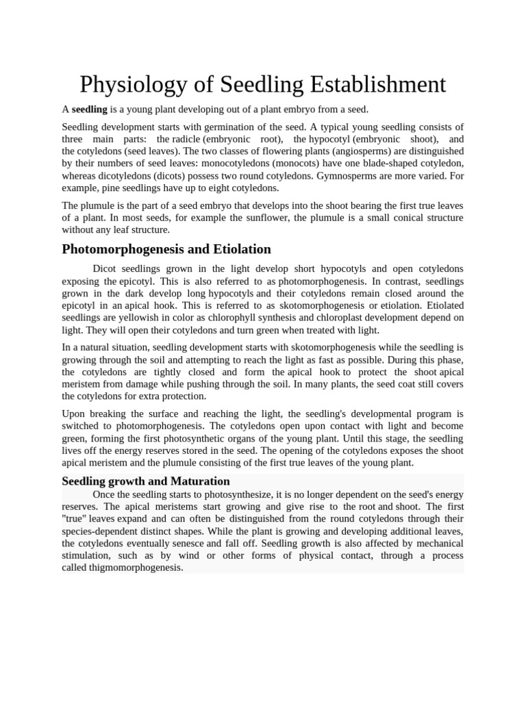 Physiology of seedling establishment | PDF | Seedling | Biology Physiology of seedling establishment | PDF | Seedling | Biology