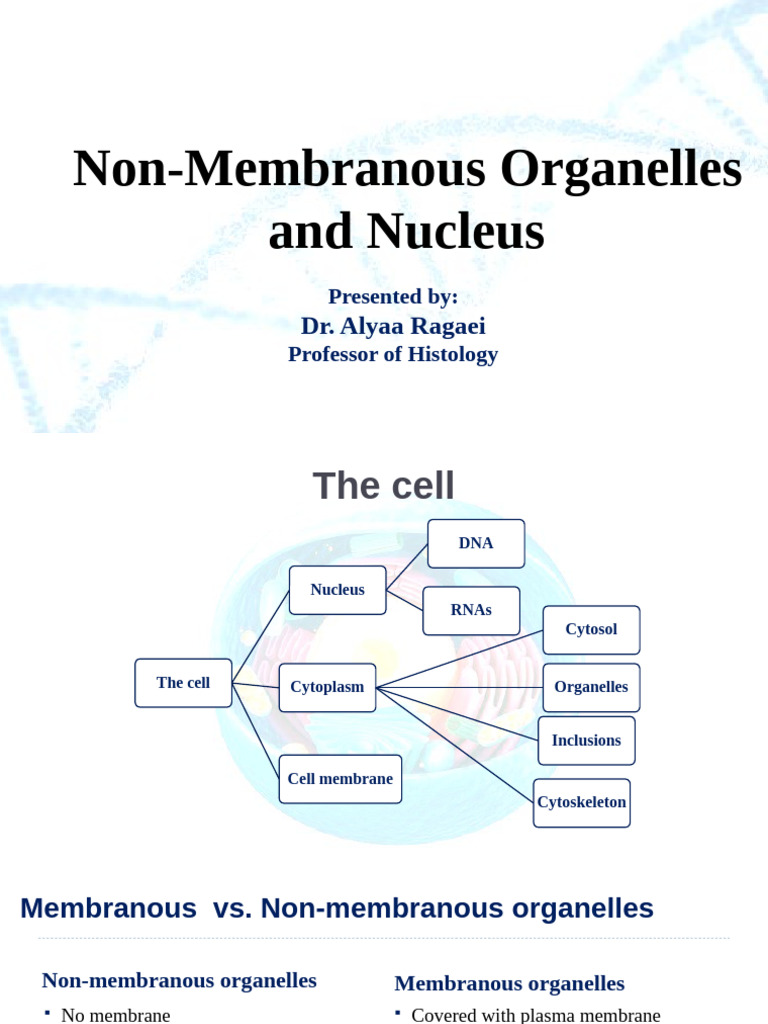 Lec 3. None Membranous Organelles 2022_77798a0abe2a672a771c7f400af2065d ...