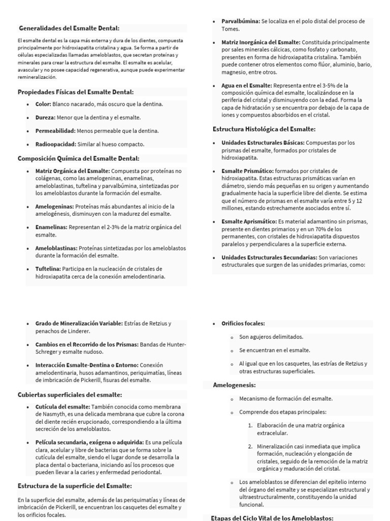 Generalidades Del Esmalte Dental | PDF | Esmalte de dientes | Anatomía