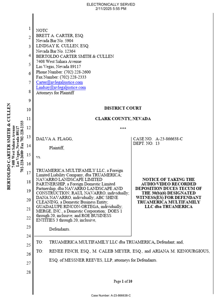 Deposition Notice for Flagg vs. TruAmerica | PDF | Deposition (Law ...