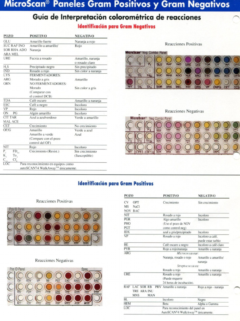 Carta de Colores | PDF