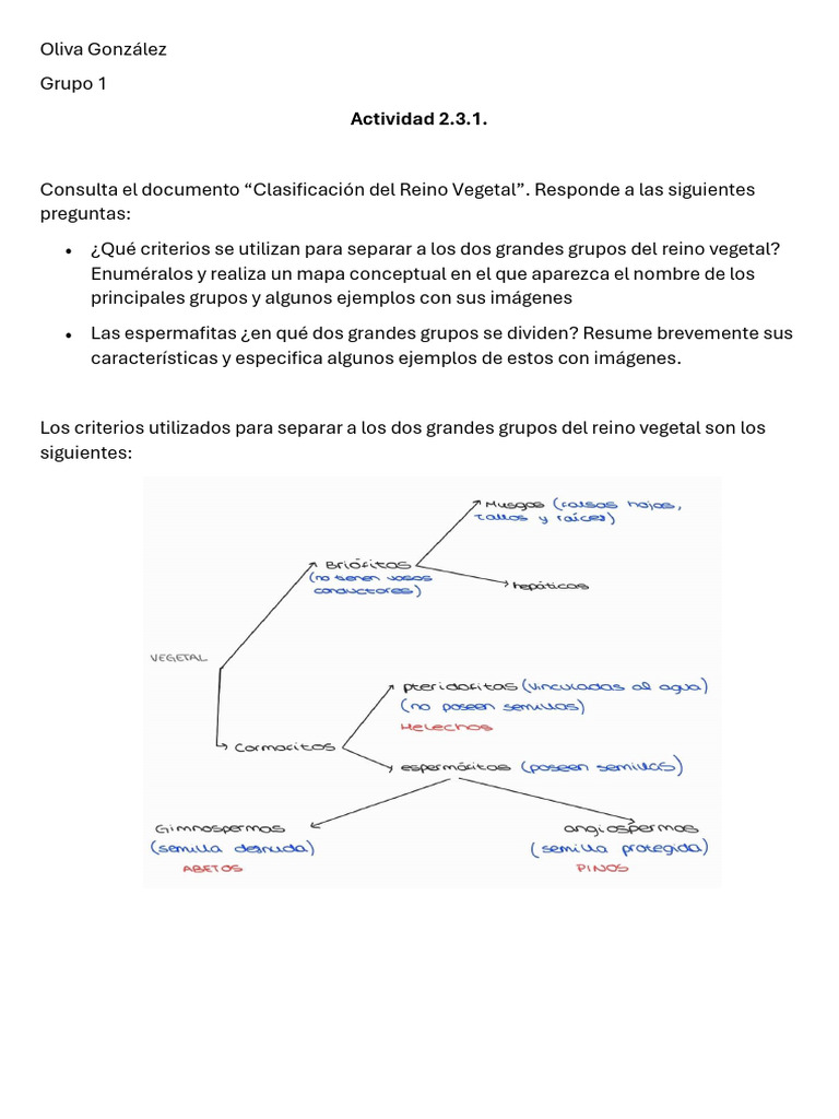 Actividad+1 +clasificación+s V | PDF