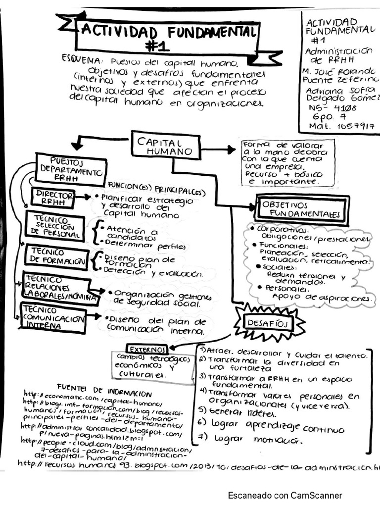 Capital Humano Esquema | PDF