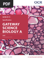 GCSE Religious Studies Quotes Guide | PDF | Afterlife | Heaven