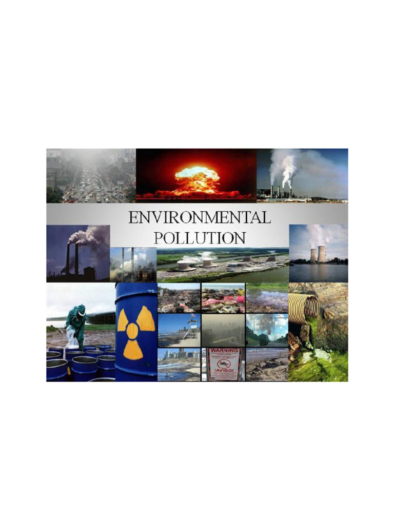Environmental Science | PDF