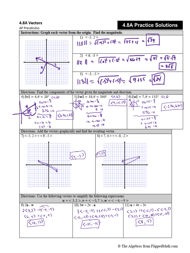 Vectors and Polynomial Functions Practice | PDF | Euclidean Vector | Mathematics