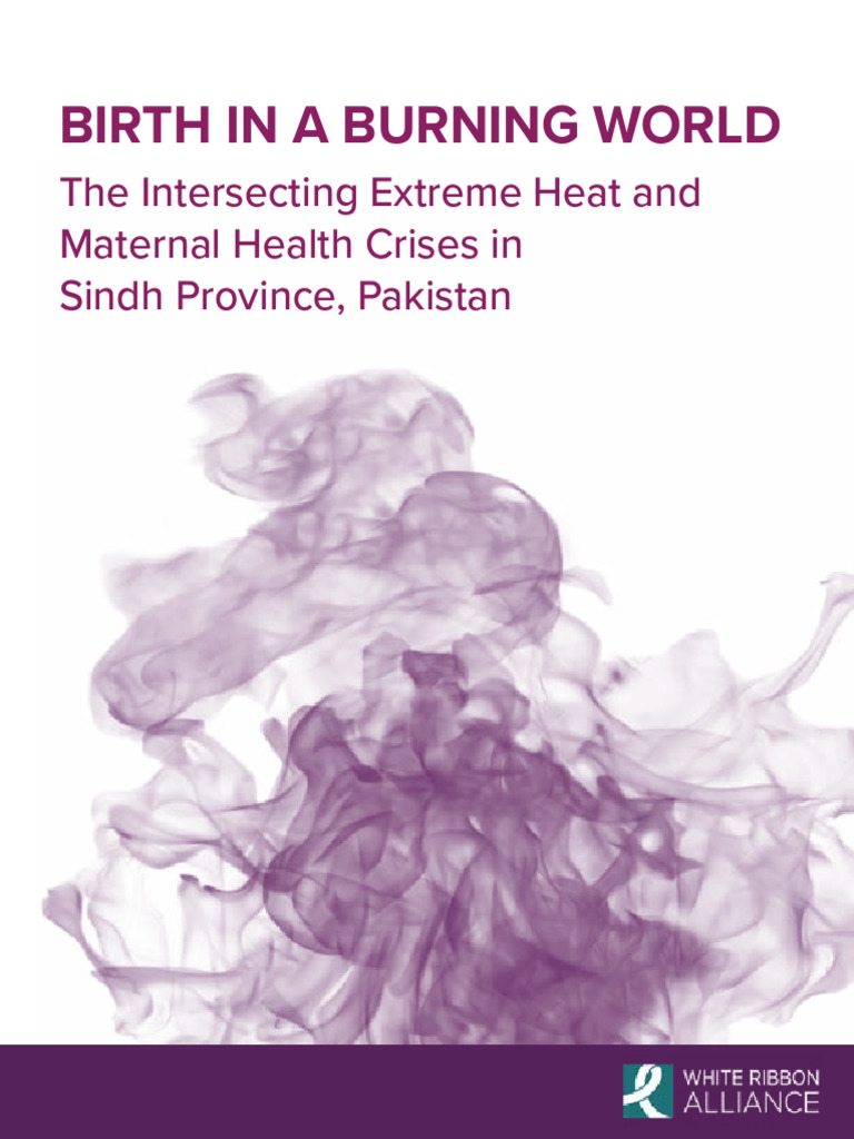 Birth-in-a-Burning-World PK | PDF | Climate Change | Heat Wave