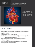 Chapter 18 - Heart Lecture Notes Complete | PDF | Heart Valve | Atrium ...