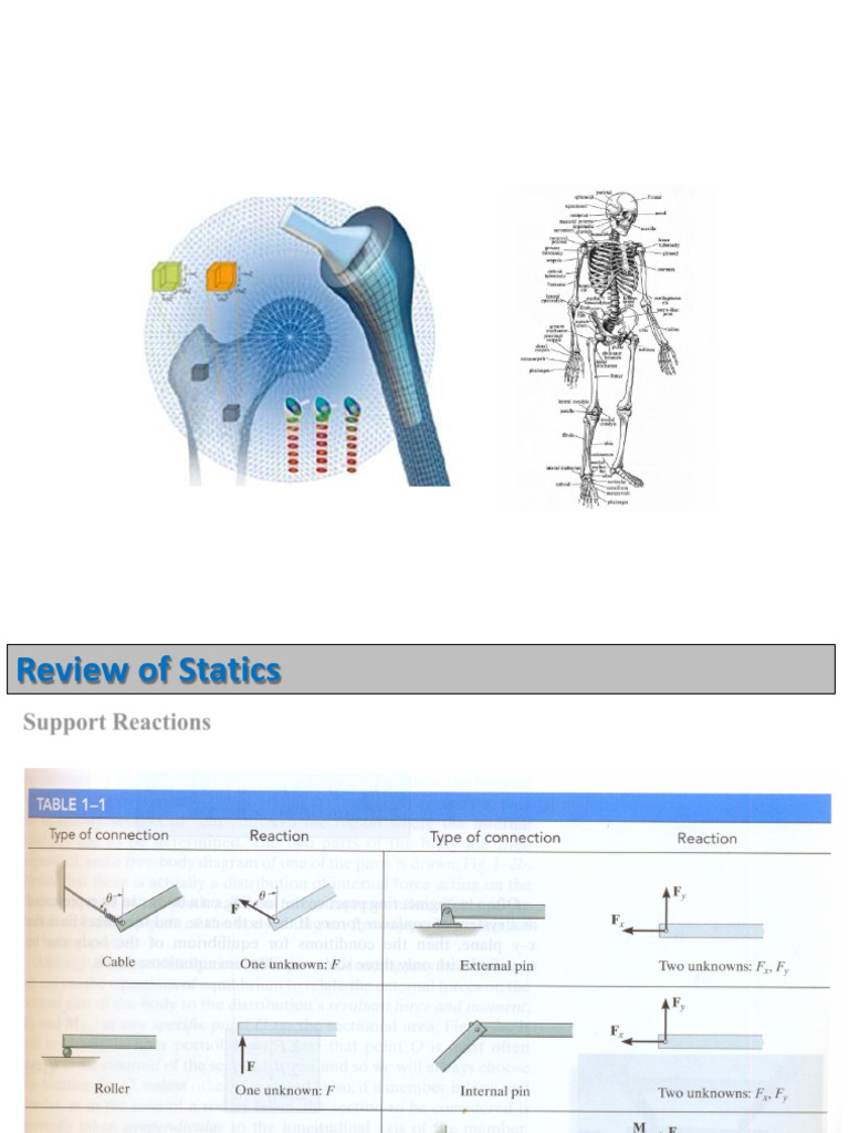 Lecture 2 Biomechanics of Solids | PDF | Deformation (Engineering) | Elasticity (Physics)