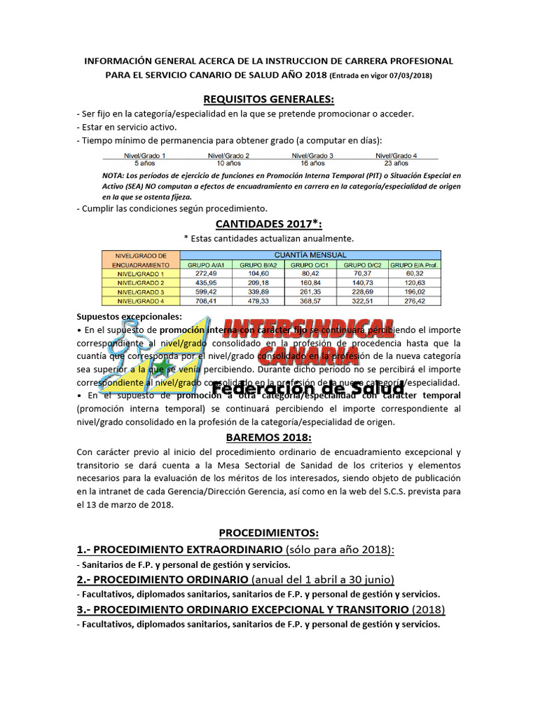Guía Práctica Carrera Profesional | PDF