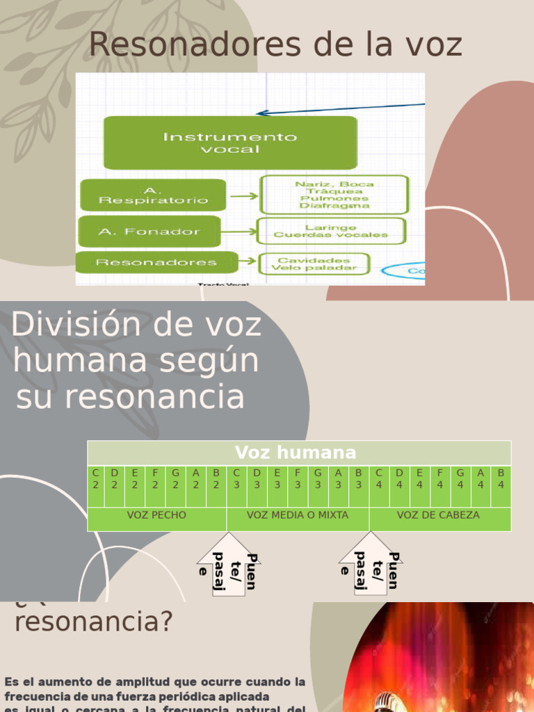 Resonadores de la Voz Humana | PDF | Sonido | Vocal