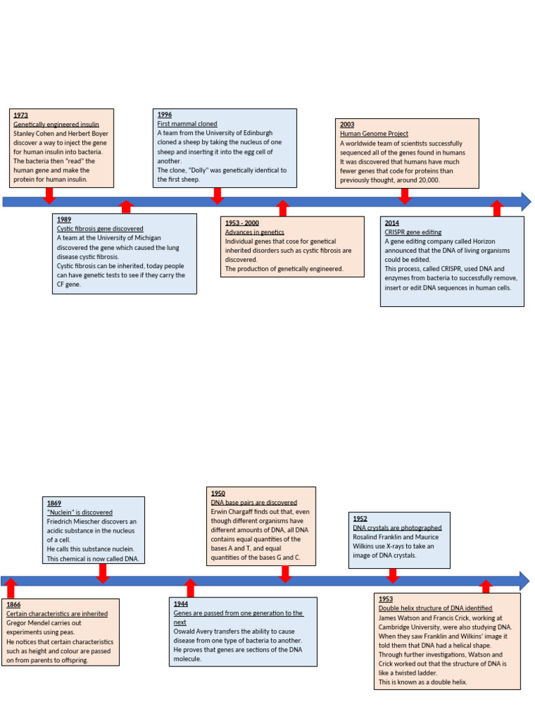 DNA Timeline | PDF | Dna | Genetics