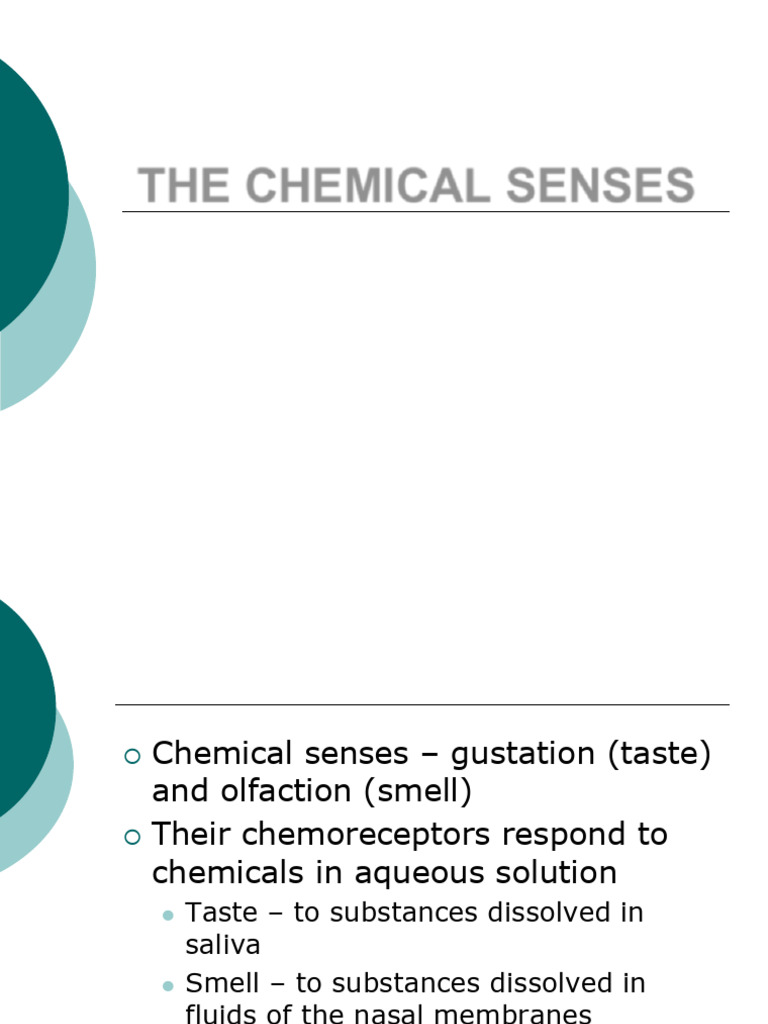 The Sense of Smell | PDF | Taste | Senses