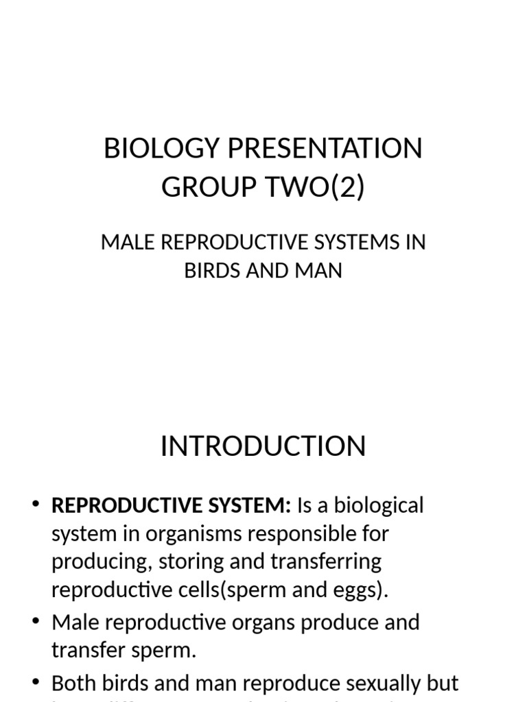 Male Reproductive Systems: Birds vs. Humans | PDF