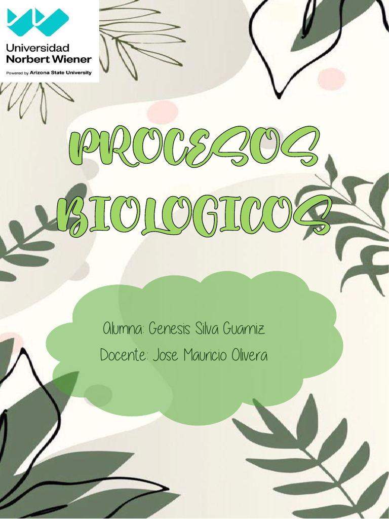 Tarea Procesos Biologicos Semana 9 | PDF | Fermentación | Ácido láctico