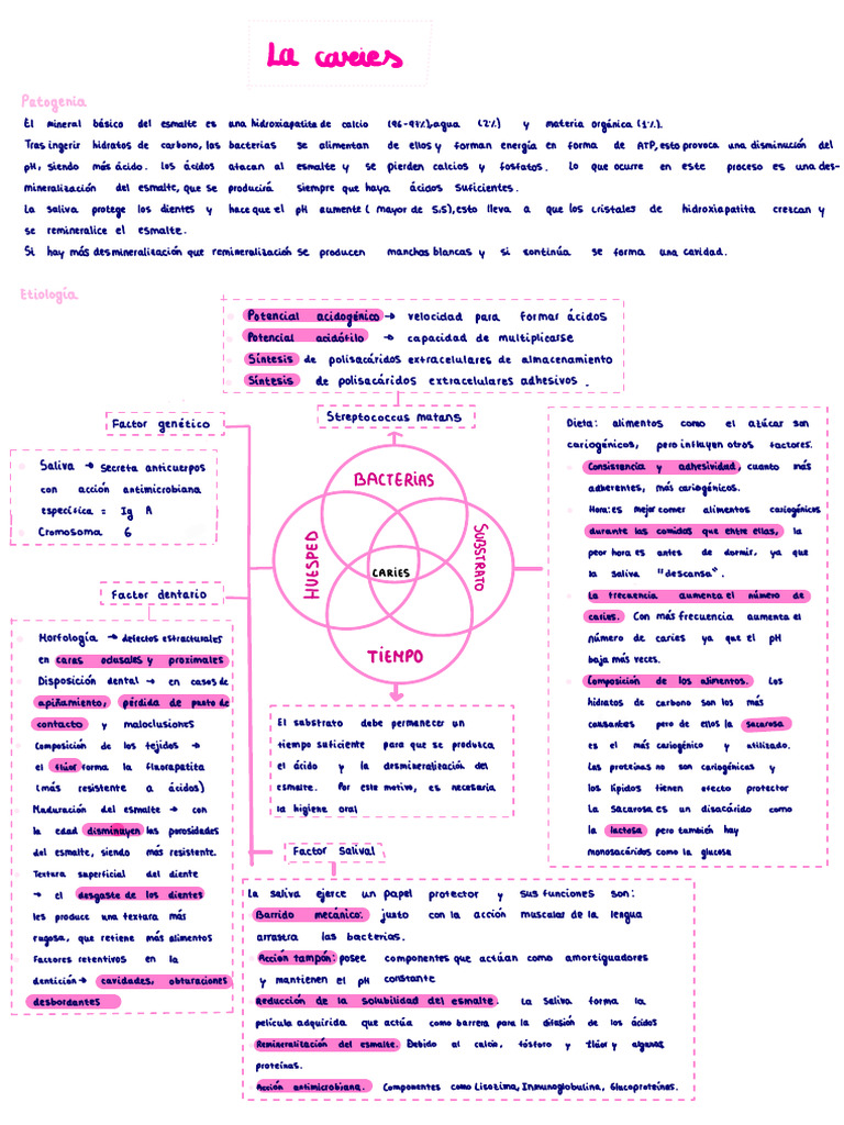 Explica El Proceso de Formación de La Caries | PDF | Esmalte de dientes ...