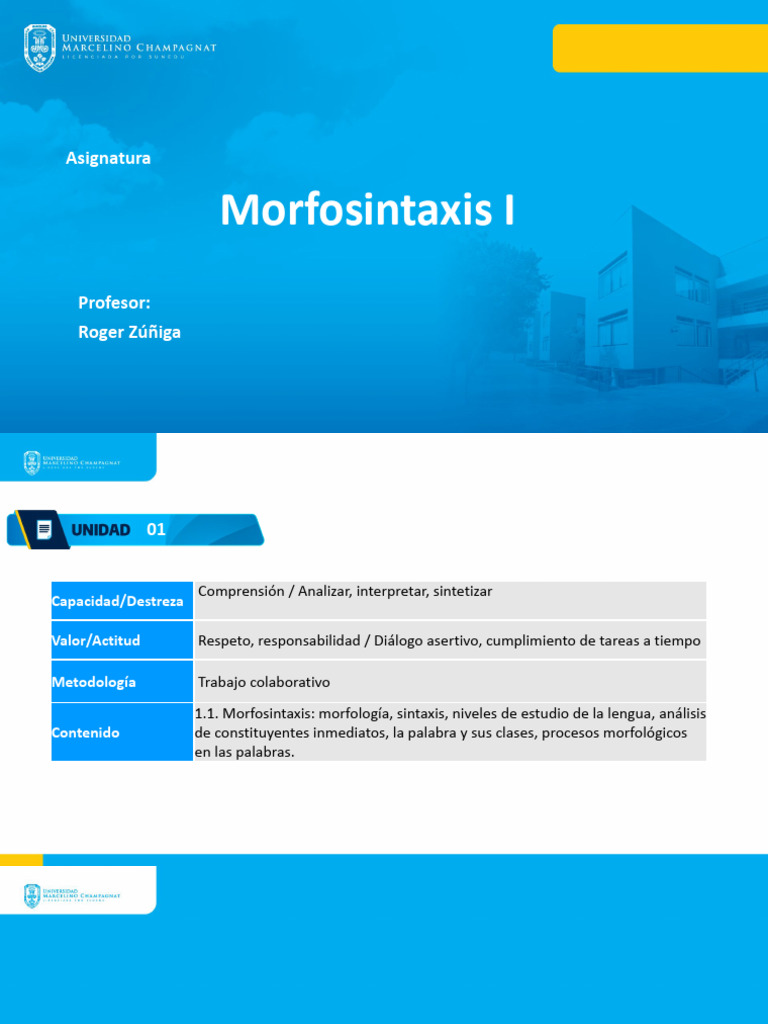 Estudio de Morfosintaxis y Palabras | PDF | Palabra | Morfología (Lingüística)