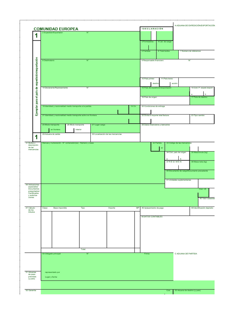 Documento A Rellenar Dua | PDF | aduana | Moneda