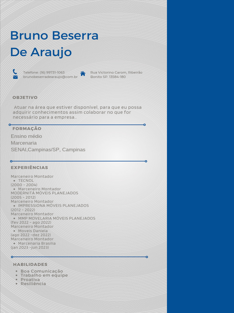 Currículo Do Bruno 2 PDF | PDF