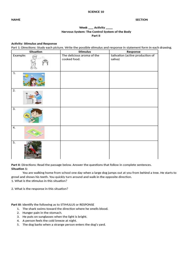 Nervous System: Stimulus and Response Activities | PDF | Stimulus ...