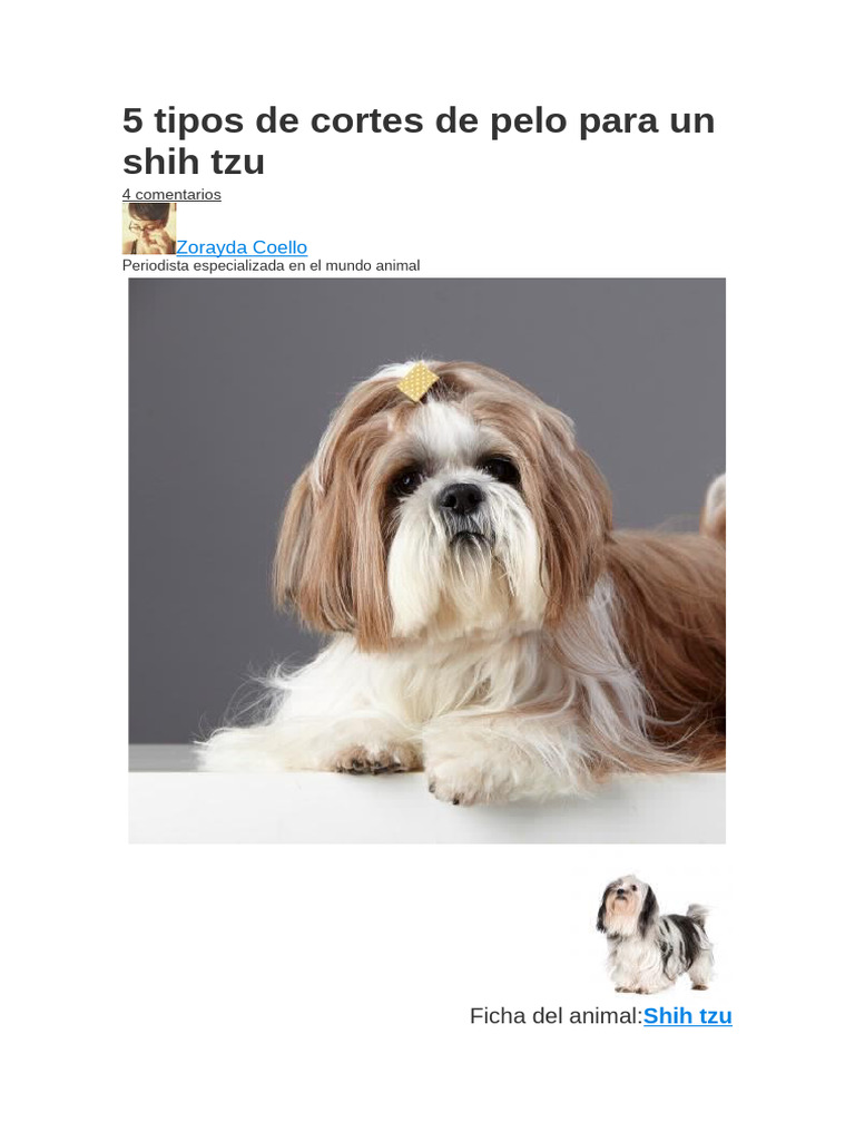 5 Tipos de Cortes de Pelo para Un Shih Tzu | PDF | Perros | Pelo