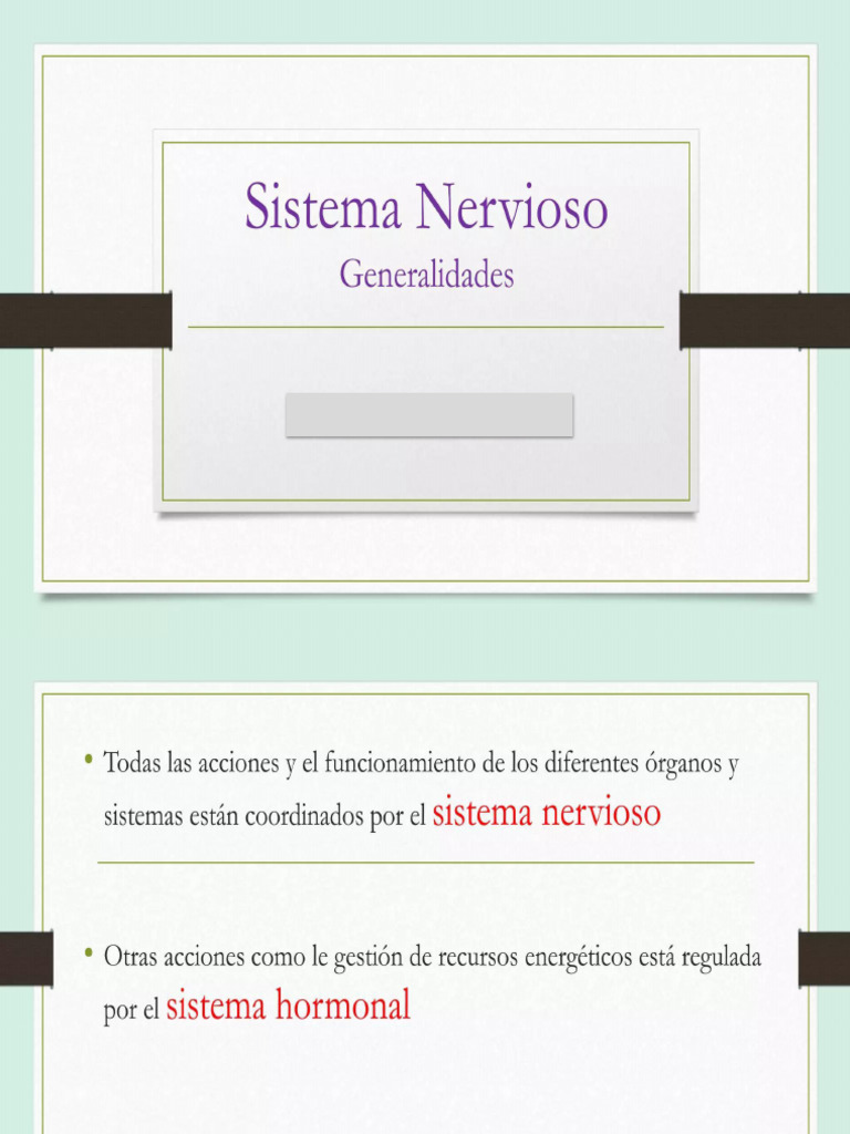 Generalidades Del Sistema Nervioso | PDF