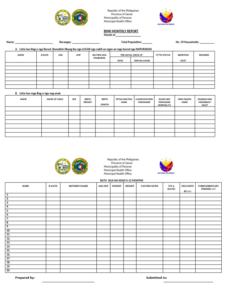 BHW Monthly Report Form | PDF | Family | Public Health