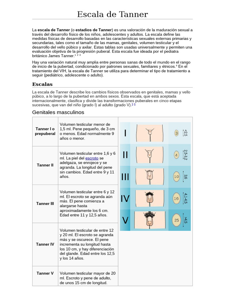 Escala de Tanner | PDF | Pecho | Pubertad