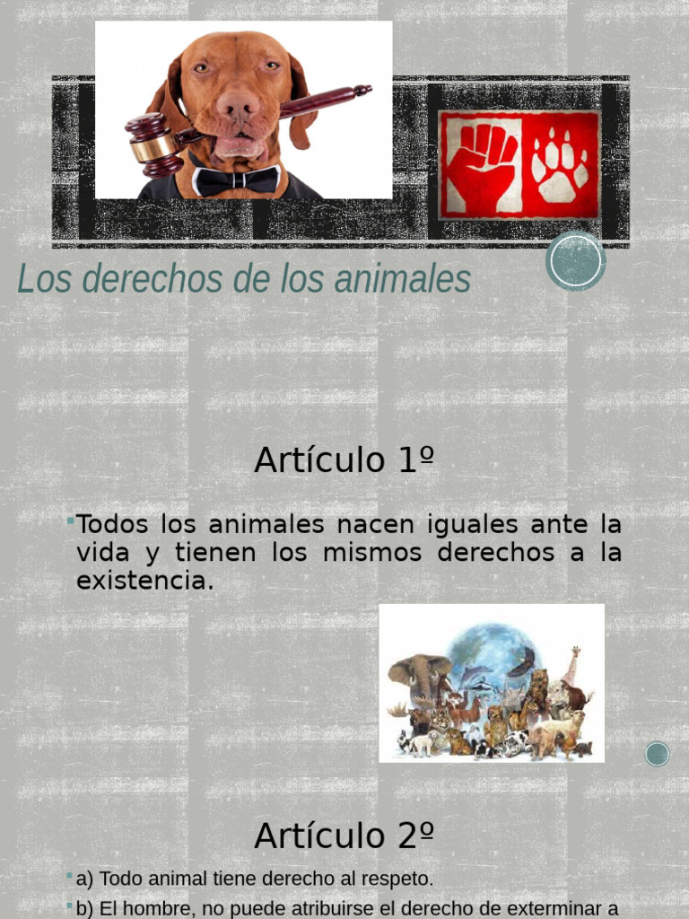 Los Derechos de Los Animales | PDF
