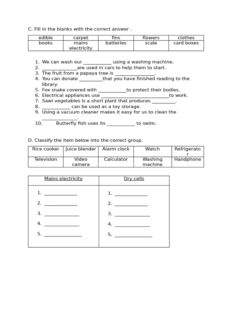 Year 3 Science Exam Worksheet | PDF | Plants | Flowers