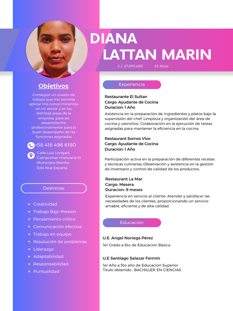 CV Diana Lattan | PDF