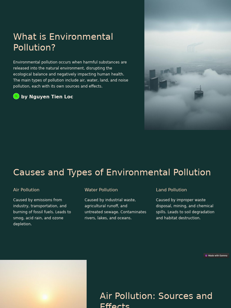 Understanding Environmental Pollution | PDF | Pollution | Waste