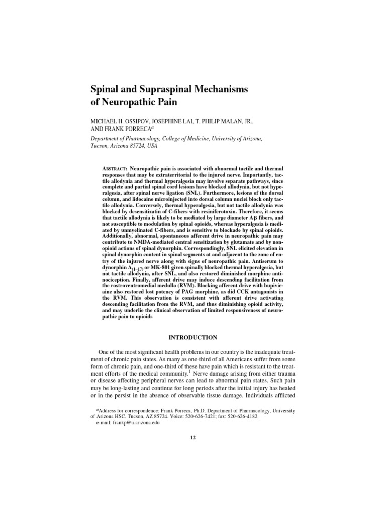 Spinal and Supraspinal Mechanisms of Neuropathic Pain | PDF | Pain | Opioid