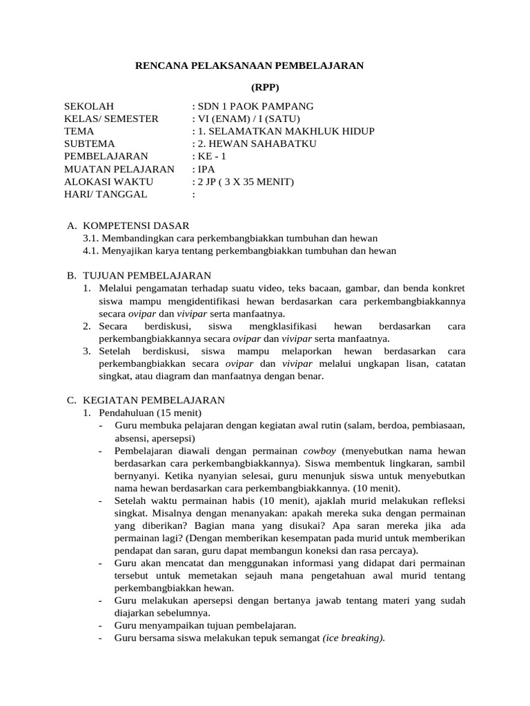 Yulia - Rencana Pelaksanaan Pembelajaran Berdiferensiasi | PDF