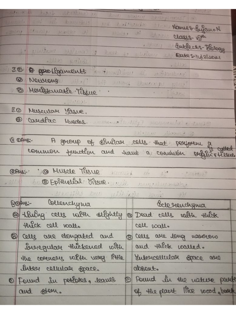 Sujan. N7thBio First Round Test Papers | PDF