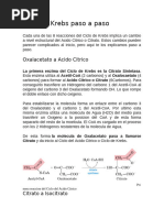 Esquema Ciclo de Krebs | PDF