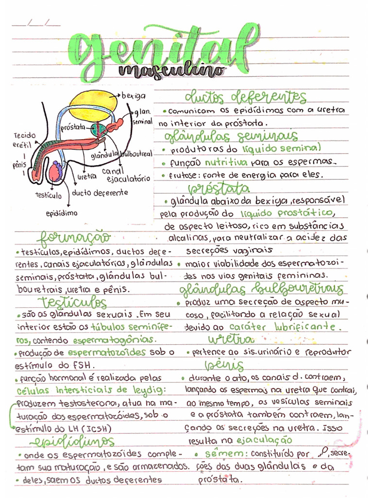 e49e9557-3c31-4b16-a70c-9ae879c233de | PDF