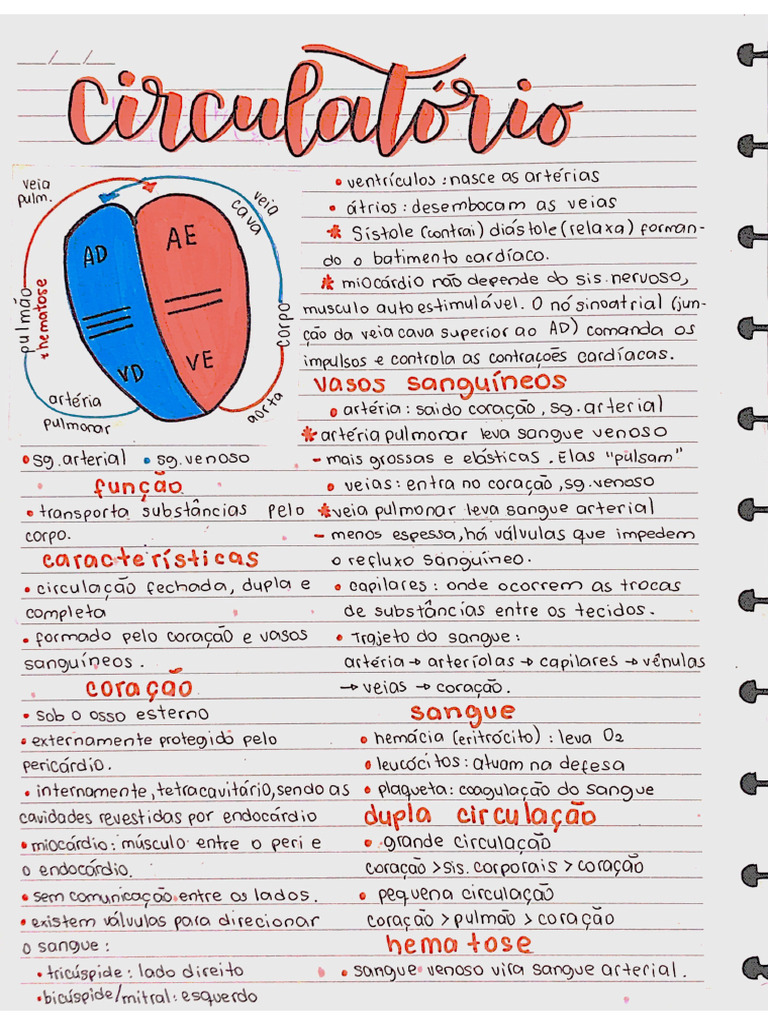 6315db40-b741-4819-8949-dba24bbb59a7 | PDF