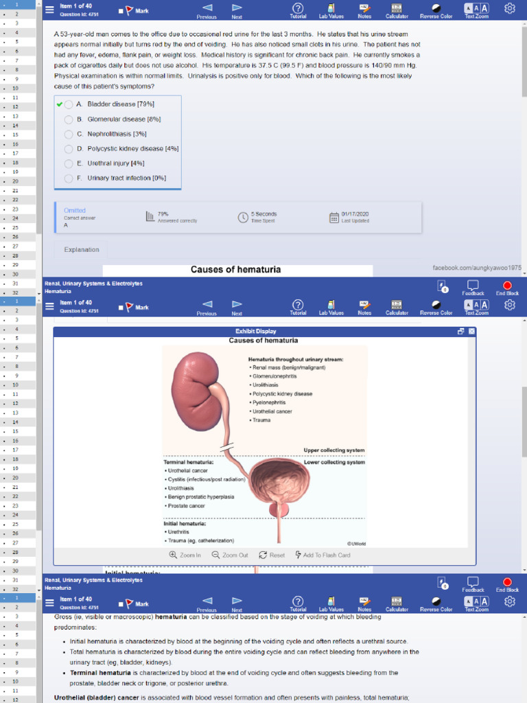 Renal Urinary Systems Electrolytes A2 | PDF | Urinary System | Urology