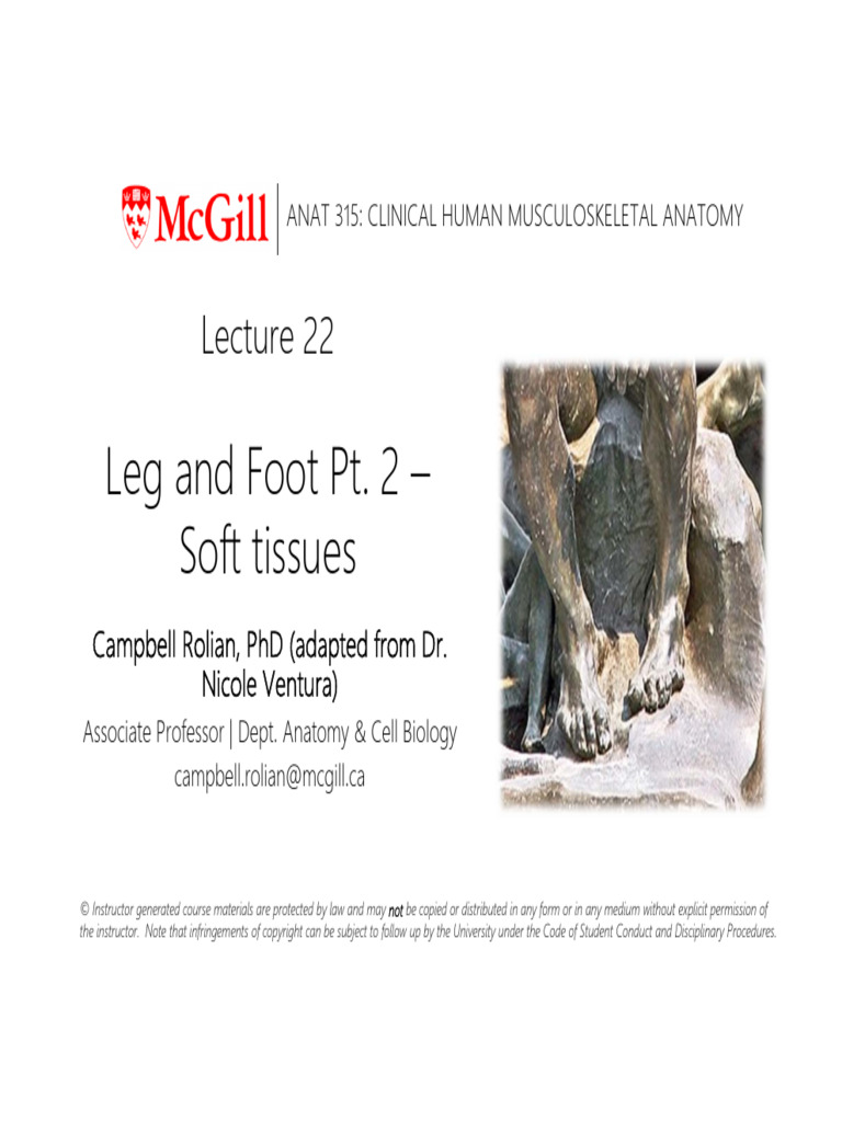 ANAT315 - Lec 22 - Leg and Foot Part 2 - Soft Tissues | PDF | Human Leg | Foot