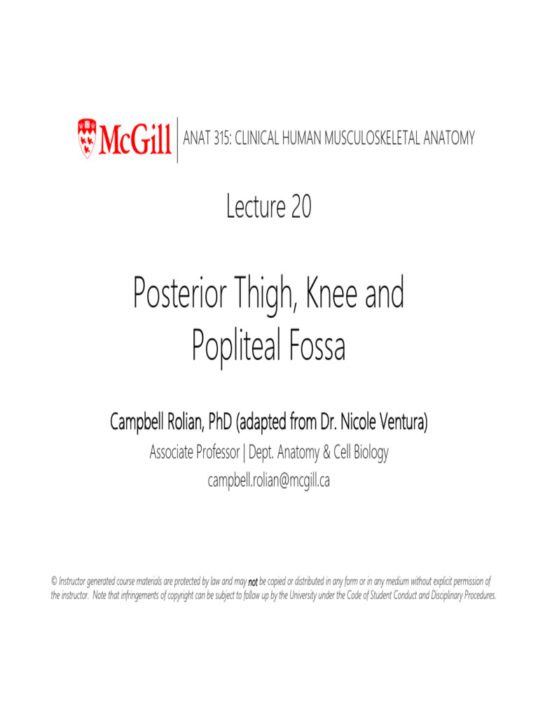 ANAT315 - Lec 20 - Posterior Thigh Knee and Popliteal Fossa | PDF ...