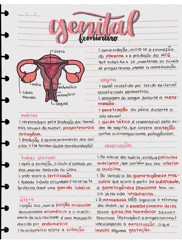 90a3bb0b-0e6d-4852-92e4-eb5a295c91f9 | PDF